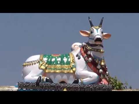 Sri Basavanna Temple, Nidavanda - YouTube