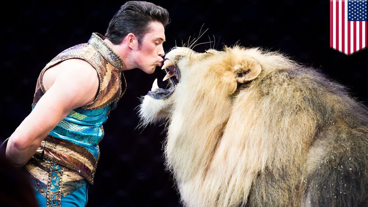 Ringling Bros: lions, tigers and leopard to be shipped to German circus ...
