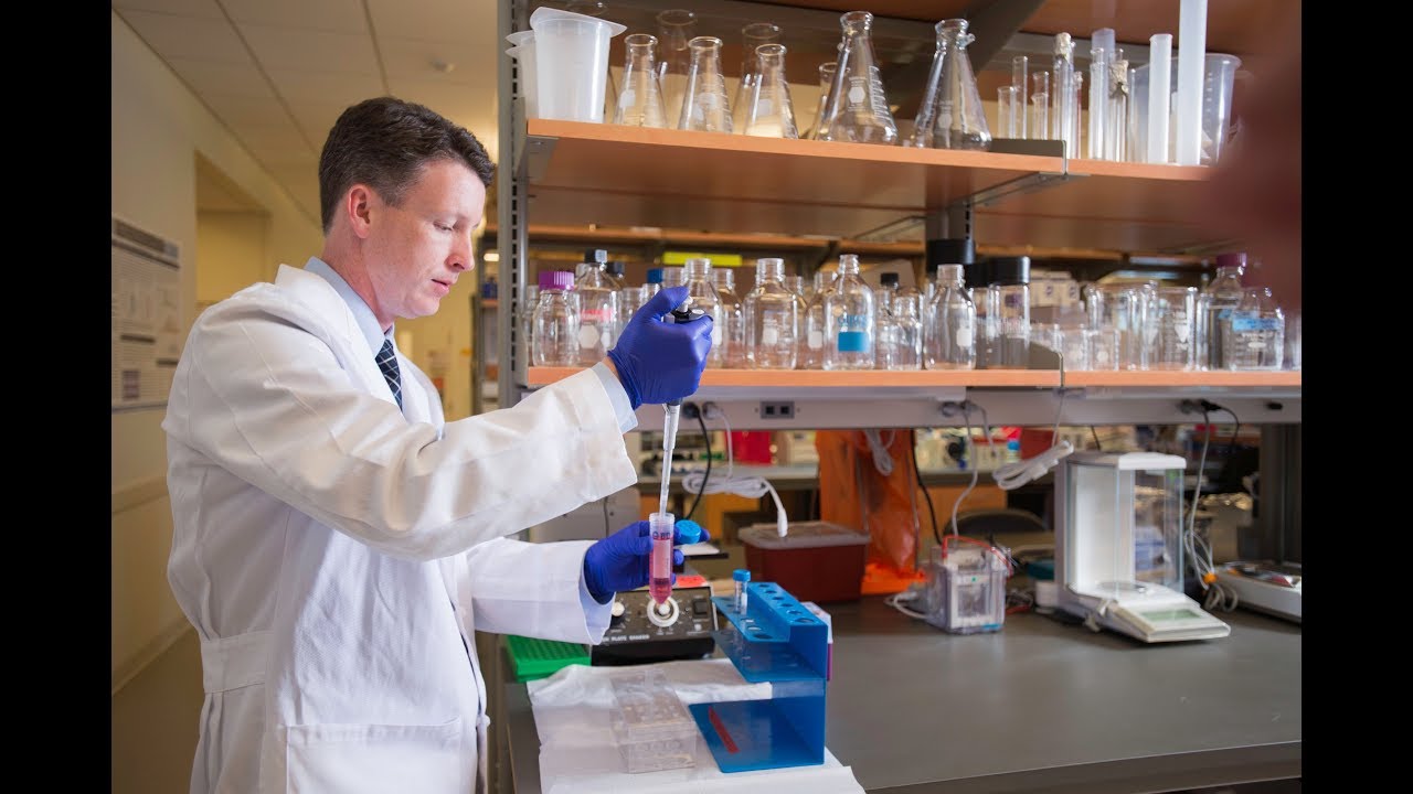 Dr. Scott Commins on Alpha-gal Meat Allergy - YouTube