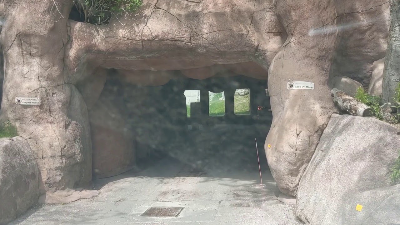 Toronto Zoo drive through May 2020 - YouTube