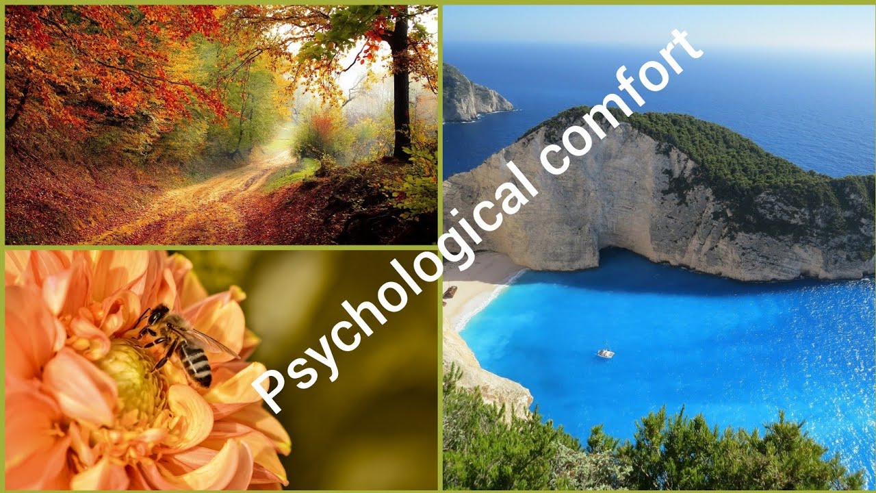 Psychological comfort - YouTube
