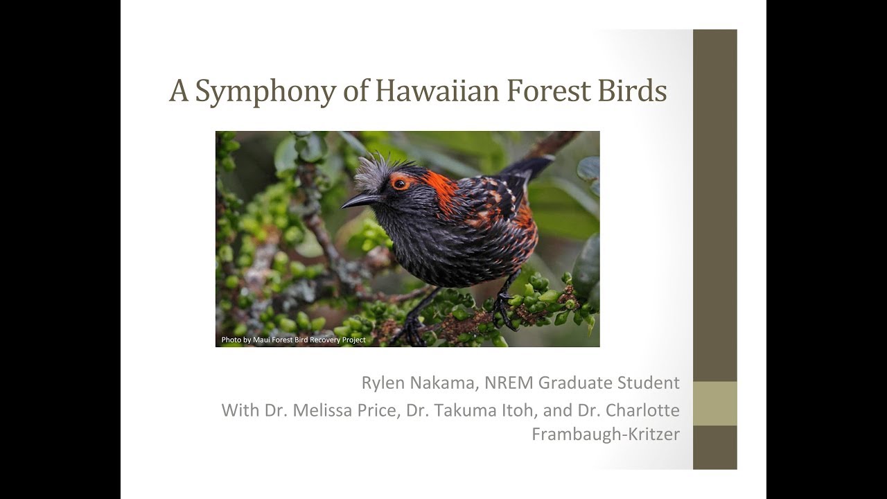 On Hawaiian Forest Birds - Rylen Nakama Presentation - YouTube