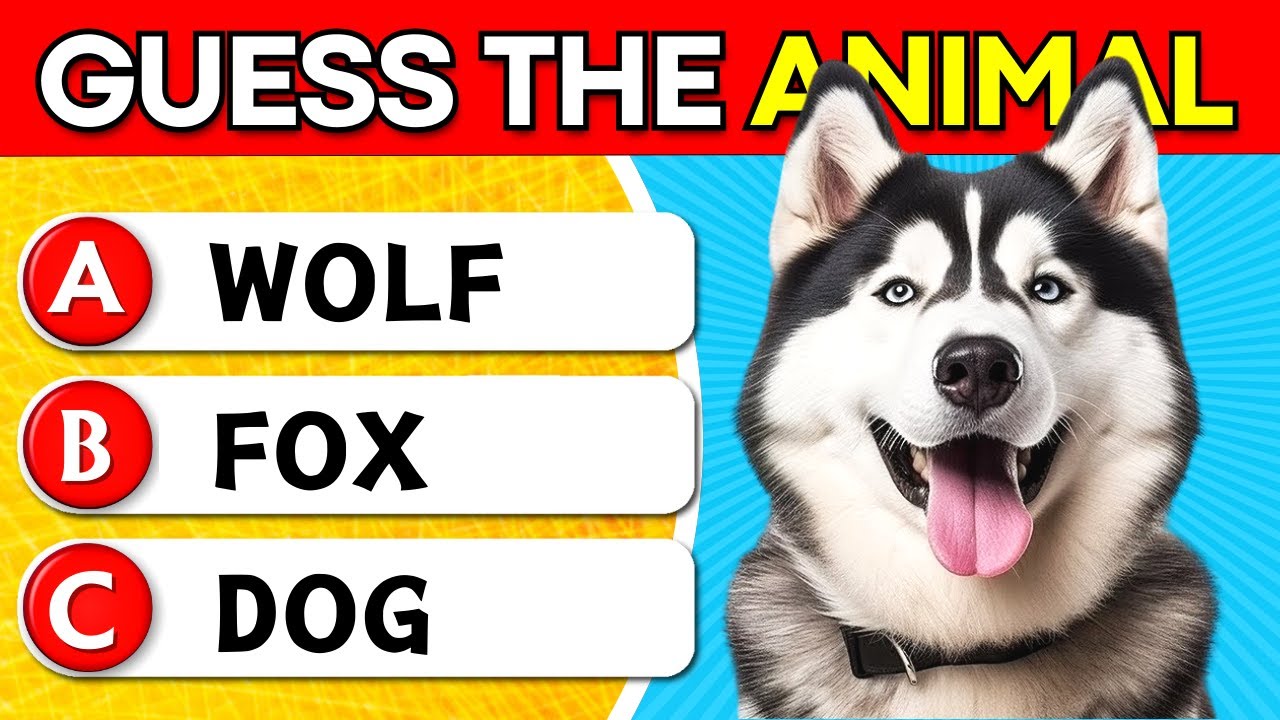 Guess 60 ANIMALS...! 🐶 | EASY to IMPOSSIBLE 🦁 - YouTube