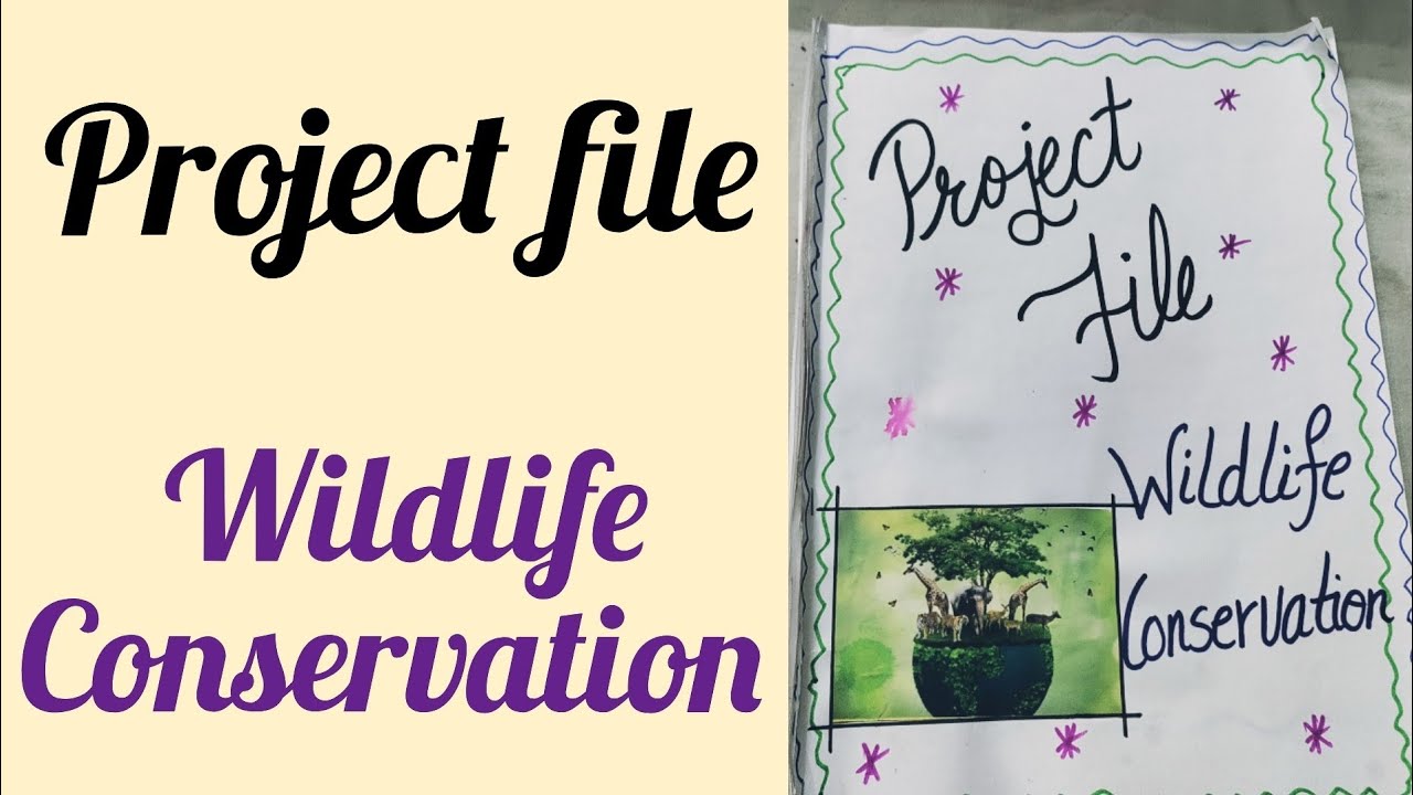 Wildlife conservation project file/geography project on wildlife ...