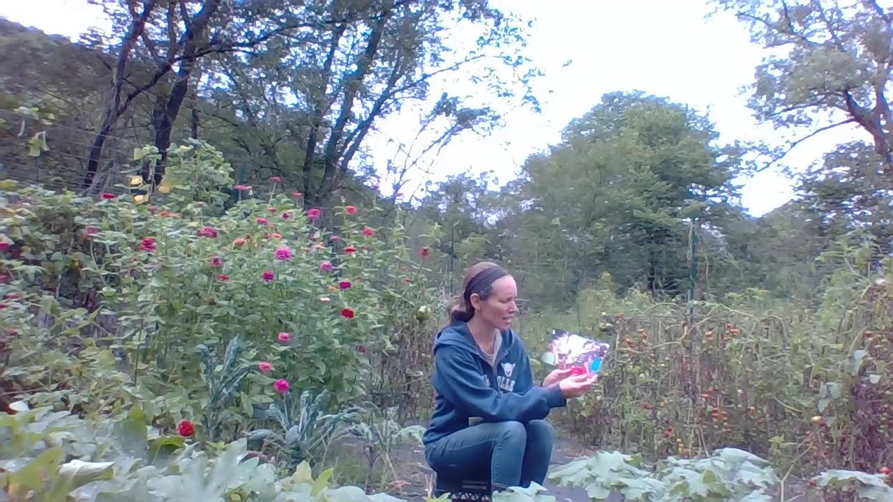 Garden Tour with Hallie - YouTube