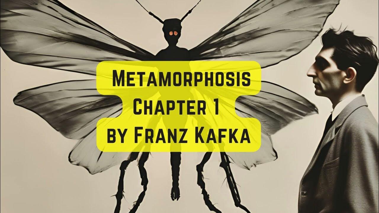 Metamorphosis by Franz Kafka, Summary of Chapter 1 - YouTube