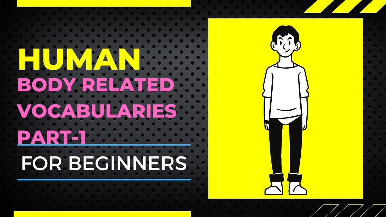 English Vocabulary || Human body related vocabulary || Basic Vocabulary ...