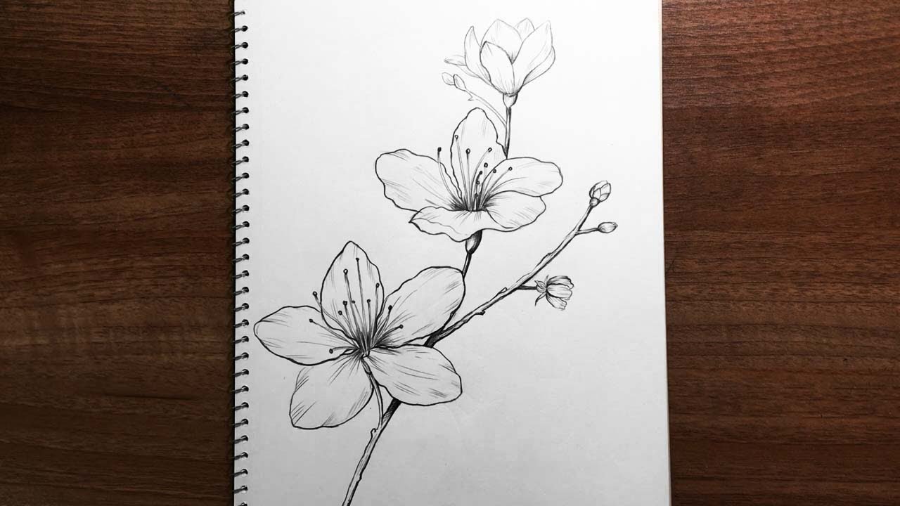 How To Draw Flowers Easy Step By Step Tutorial For Beginners - YouTube