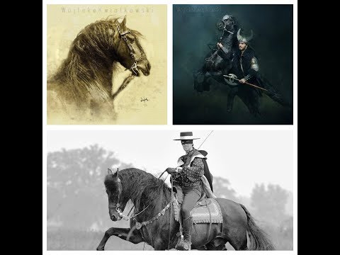 ⚜️~Mario A. Contreras & Wojtek Kwiatkowski Equine Photography