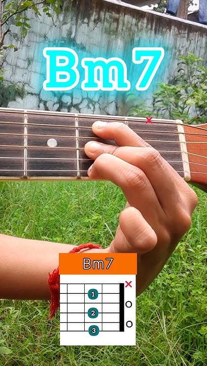 Easy Chord Lesson 👑 How to Play Bm7 Chord on Guitar #shorts #youtubeshorts #guitar #guitarist ...