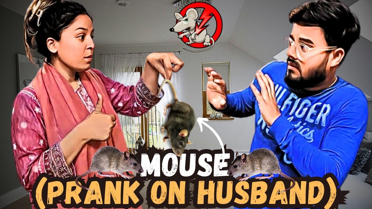 Husband's Reaction To Mouse Prank😂#Mouse prank on my husband#best mouse ...