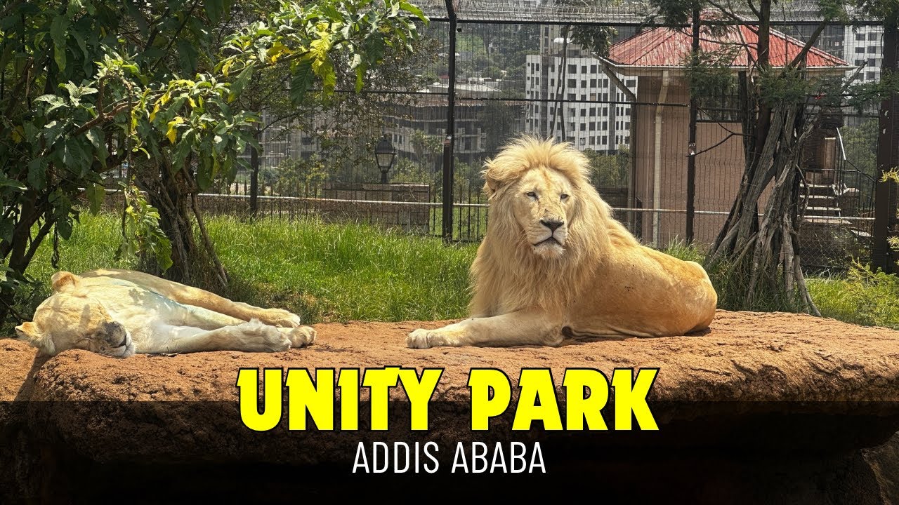 Unity Park, Addis Ababa #unitypark #grandpalace #addisababa # ...
