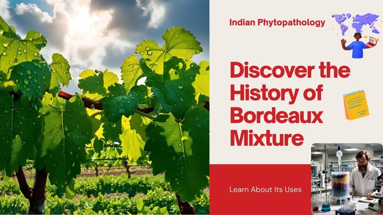Detailed story of How Prof. P. A. Millardet Discovered Bordeaux Mixture ...
