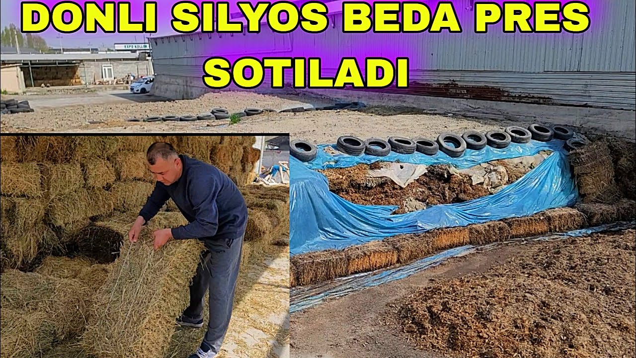 140 TONA DONLIK SILYOS VA BEDA SOMON PRESLAR SOTILADI FERMADAN - YouTube