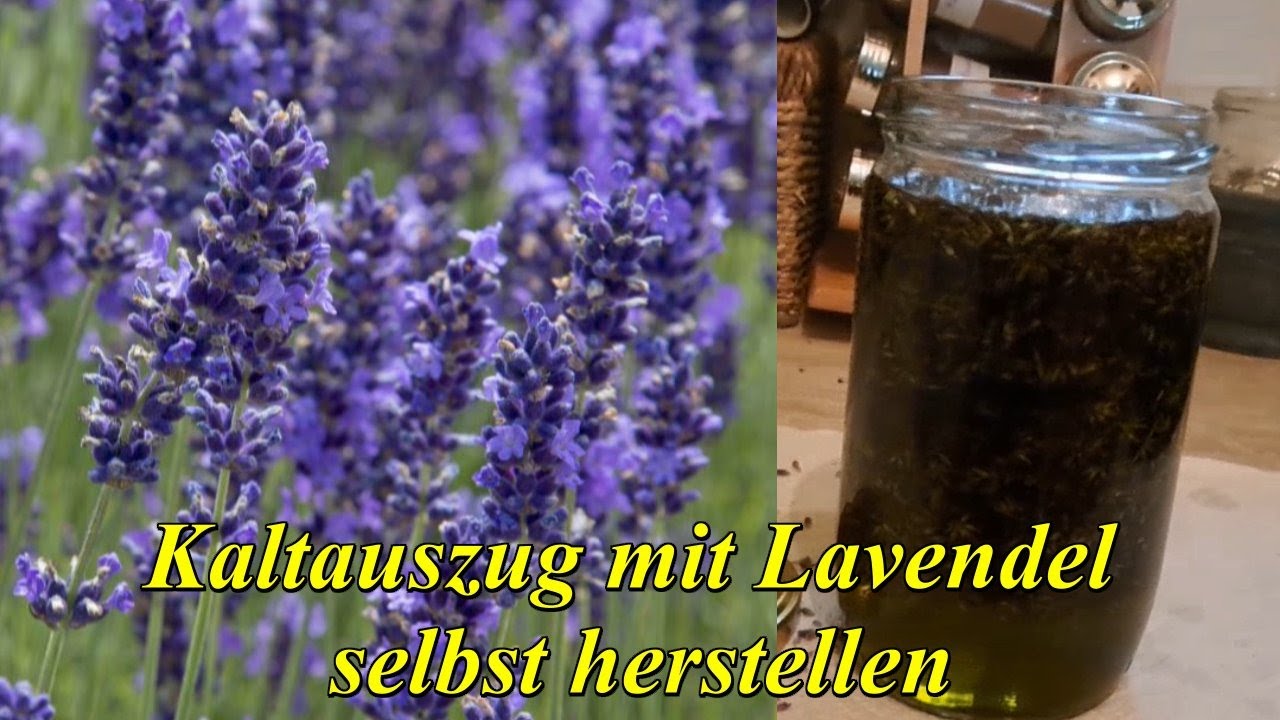 Lavendelc383c2b6l Selber Herstellen