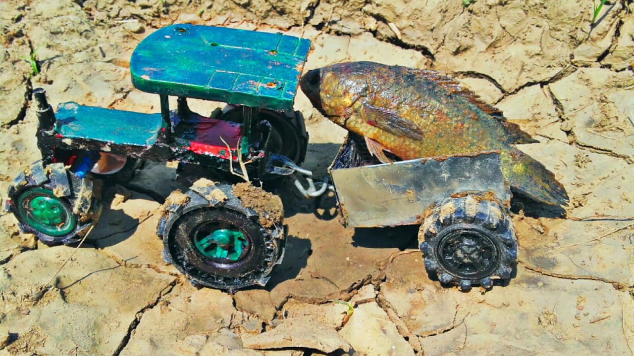 Gangetic Koi Fish Helping Diy Tractor | Fish Helping Video part-7 ...
