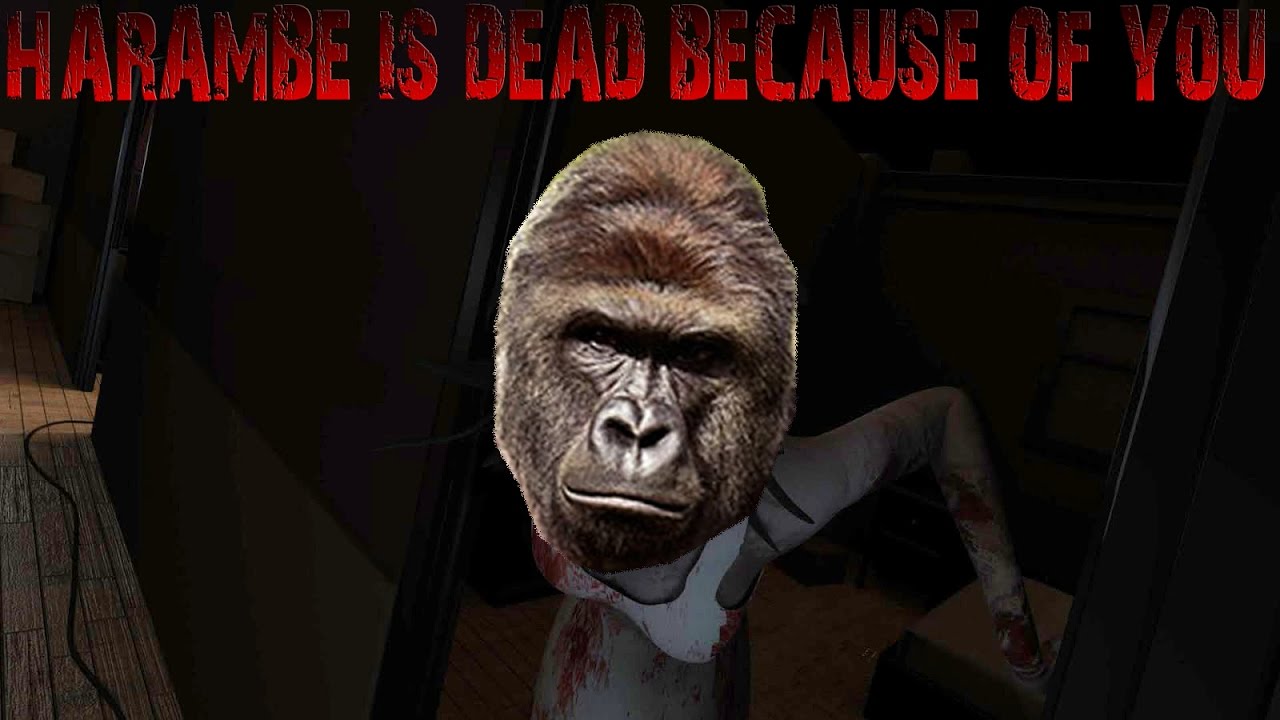 HARAMBE IS DEAD BECAUSE OF YOU || Sophie's curse- Part 2 - YouTube