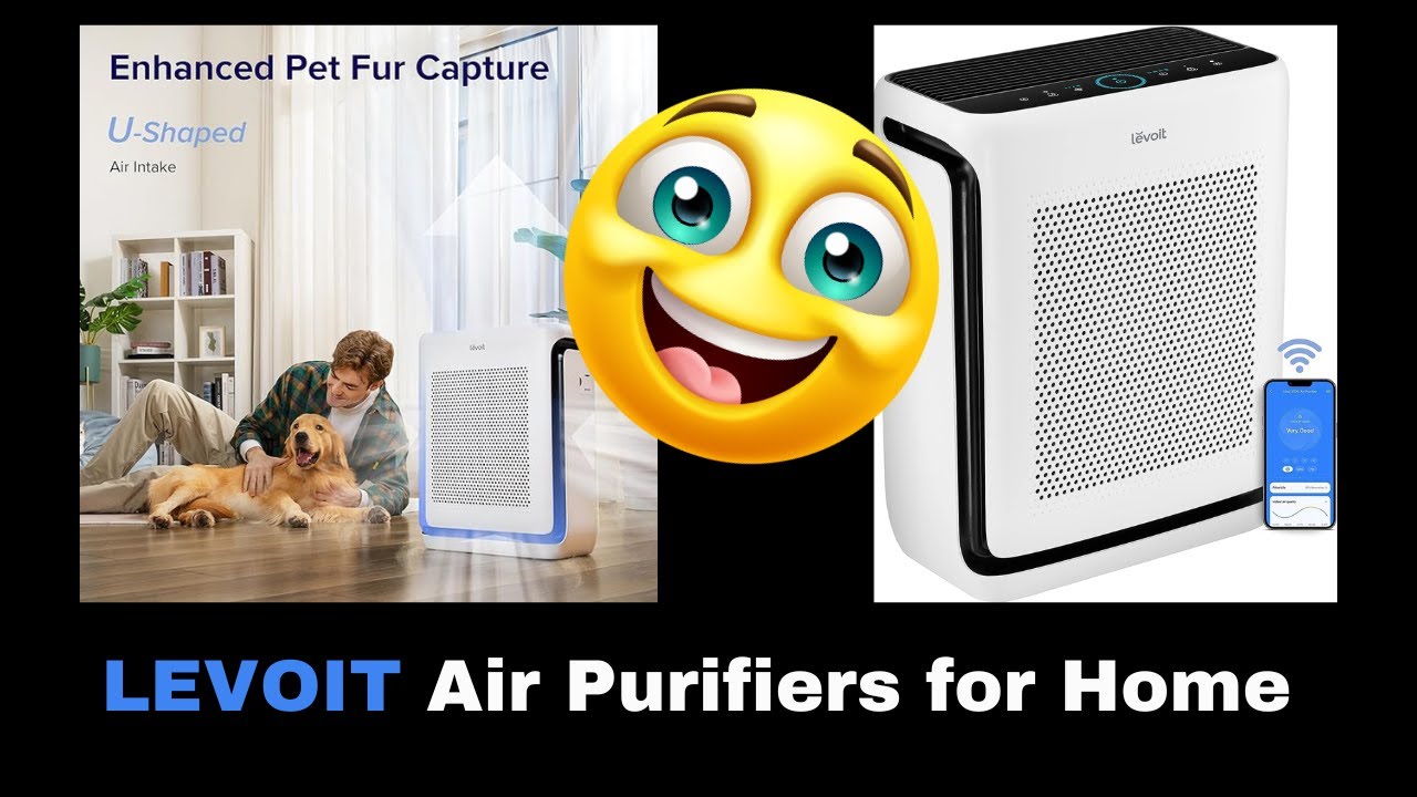 LEVOIT 200S Air Purifier Review - Clean Air for Large Spaces! - YouTube