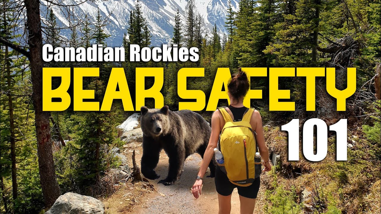 Surviving Bear Encounters: Expert Tips from a 22-Year Canadian Rockies ...