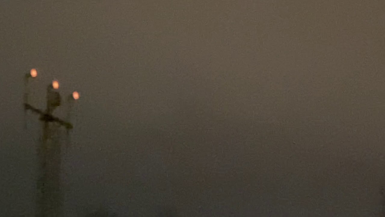 Running rabbit at Oslo Airport Gardermoen, Norway. - YouTube