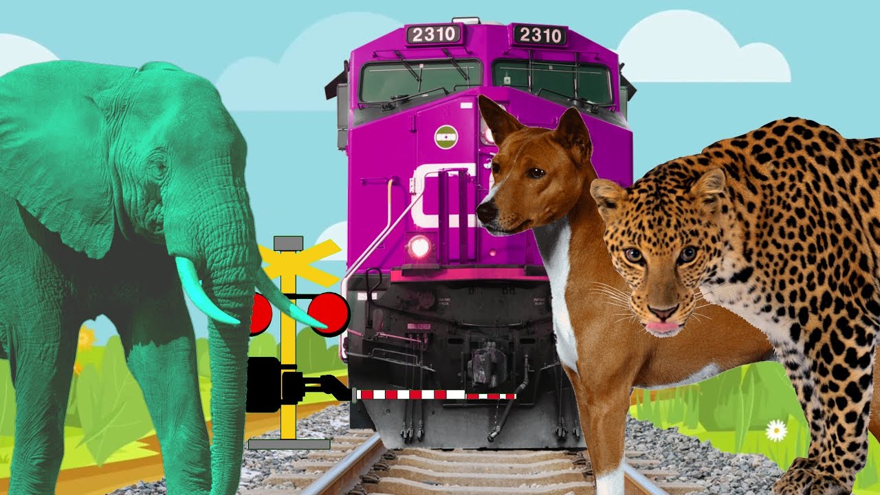 Three Train vs Elephant, Leapord, Dog | Train Simulator | Animation 3d ...