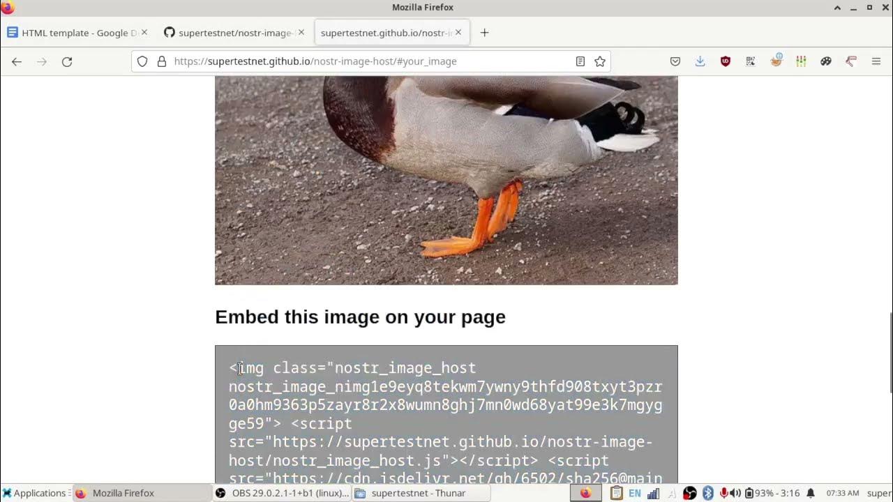 Nostr Image Host: use nostr to host image files and create an upload form - YouTube