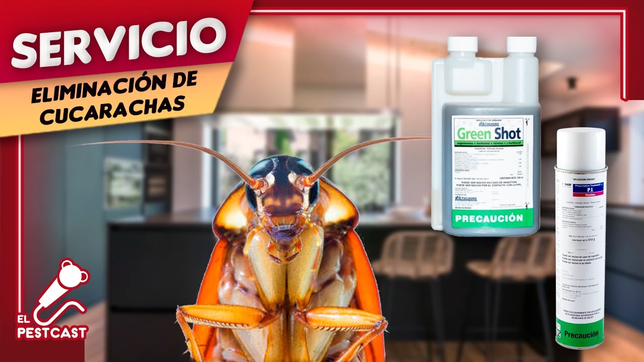 Eliminando cucarachas con insecticida P.I. De Basf y GREEN Shot de ...