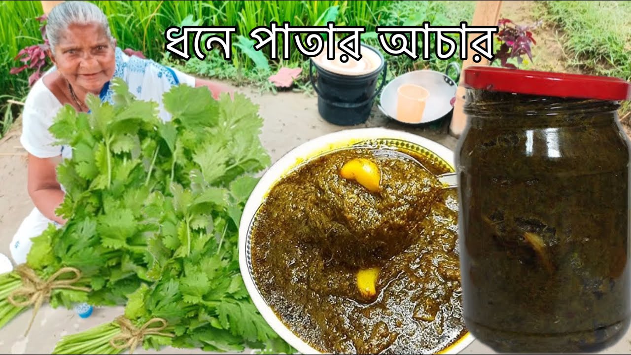 কম খরচে এই ভাবে ধনেপাতা দিয়ে আচার বানিয়ে সংরক্ষণ করুন সারা বছর ...