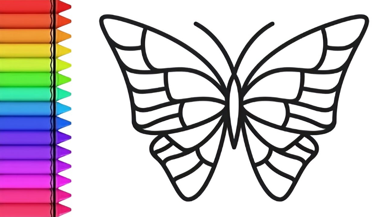 Butterfly Drawing | Butterfly Drawing for Kids | How to Draw Cute ...