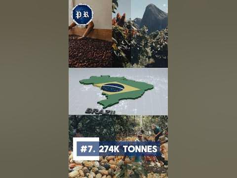 World’s Largest Cocoa Producers in 2022 are! - YouTube