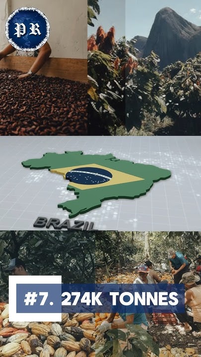 World’s Largest Cocoa Producers in 2022 are! - YouTube