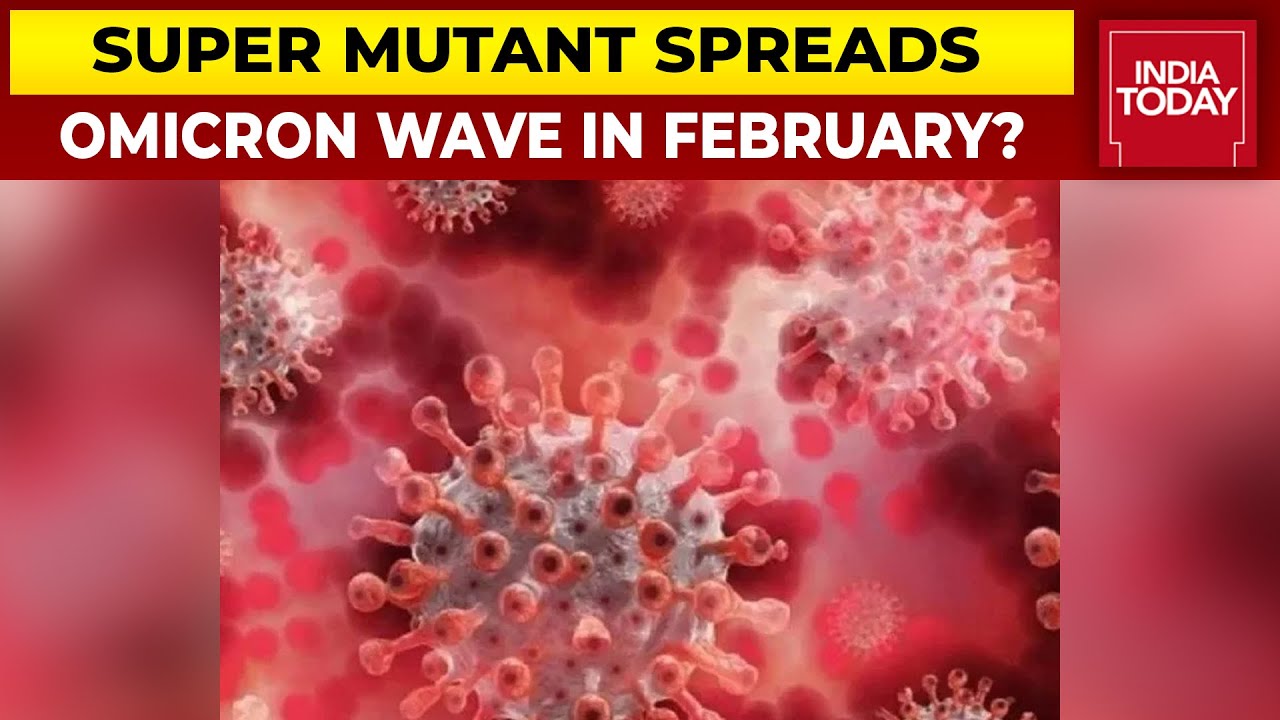 Omicron-Led COVID-19 Wave May Peak In February, Subside In A Month ...