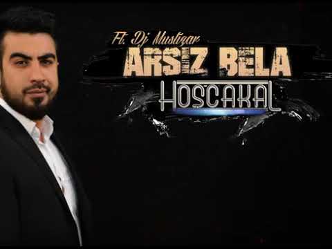 Arsız bela Hoscakal