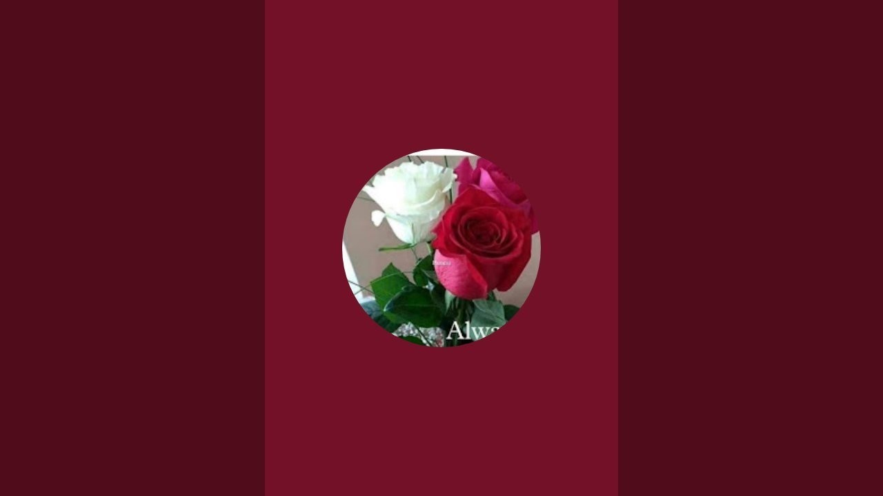 sayed channel is live - YouTube