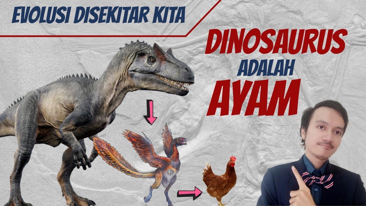 EVOLUSI DISEKITAR KITA | DINOSAURUS ADALAH NENEK MOYANG AYAM - YouTube