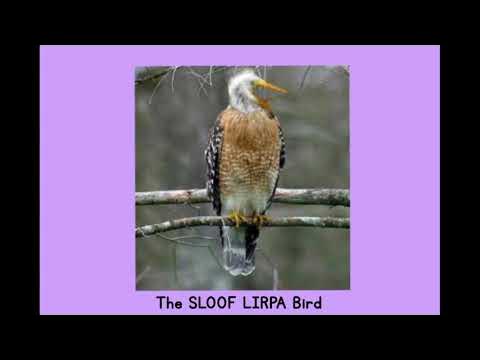Sloof Lirpa Bird - YouTube