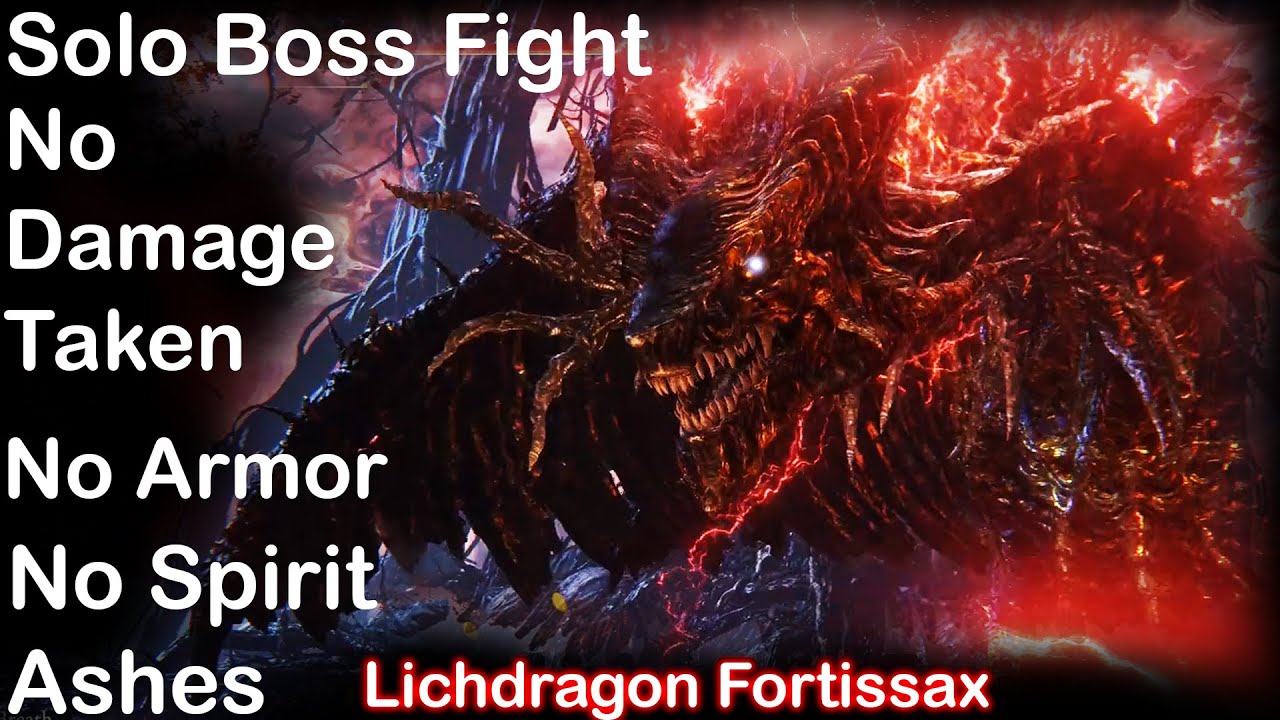 No Damage Taken , No Armor , Solo Boss Fight | Lichdragon Fortissax ...