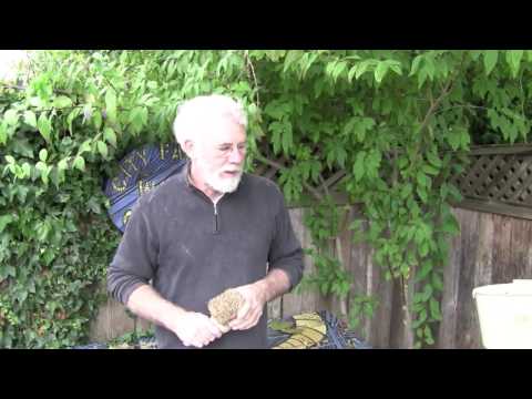 Bear-Proof Composter - YouTube
