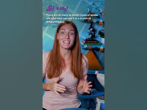 Why do spiders spin webs? | SciShow Kids - YouTube