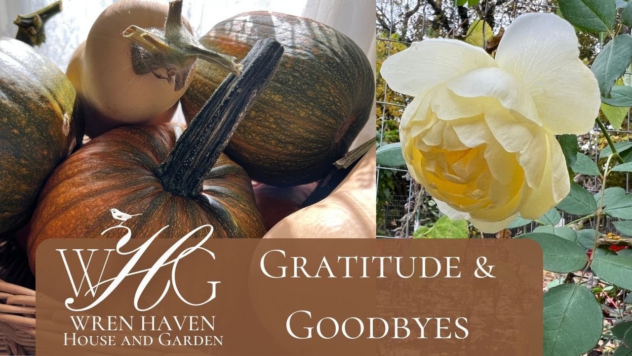 GRATITUDE IN HARD TIMES and GOODBYE GARDEN {VLOG} - YouTube