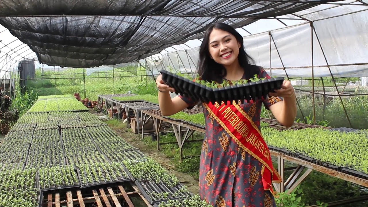 THE OHIO PROGRAM 2020 - NATASHA AULIA (INDONESIA) - YouTube