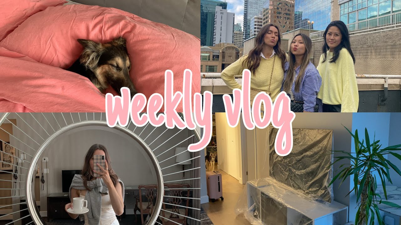 becoming a Shine ambassador, Mars content, reno updates, hotel ...
