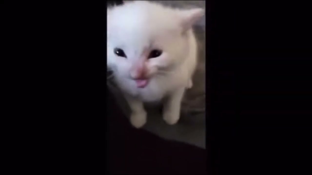 Hi herbert compilation - YouTube