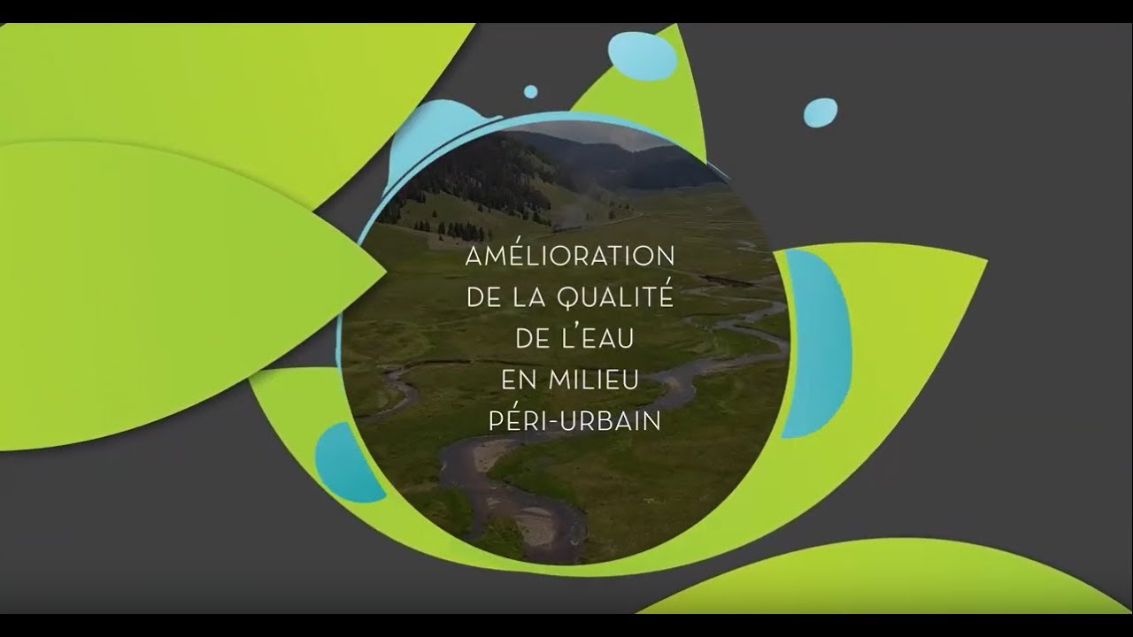 Améliorer la qualité de l’eau en milieu péri-urbain : Ingénierie ...