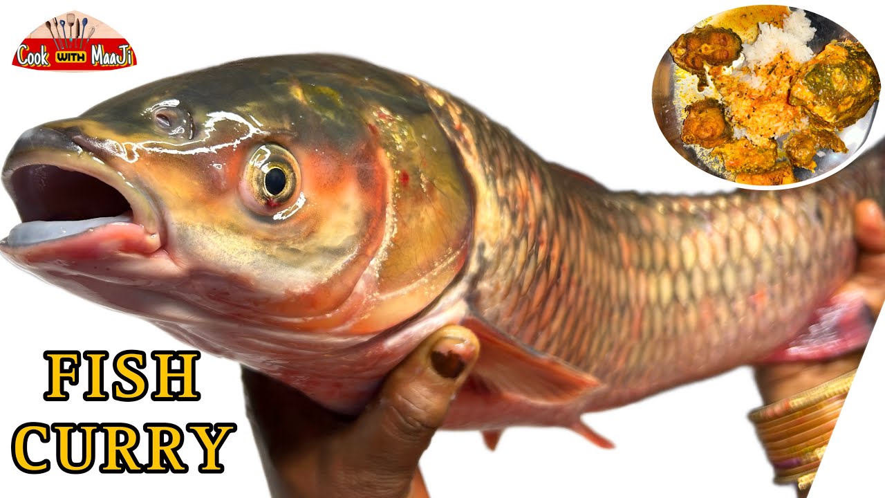 4KG का मछली कैसे बनाते है देखिए | Big fish curry | Fish curry | Fish ...