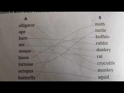 'Hopping Frog' exercises solved Class 3 - YouTube