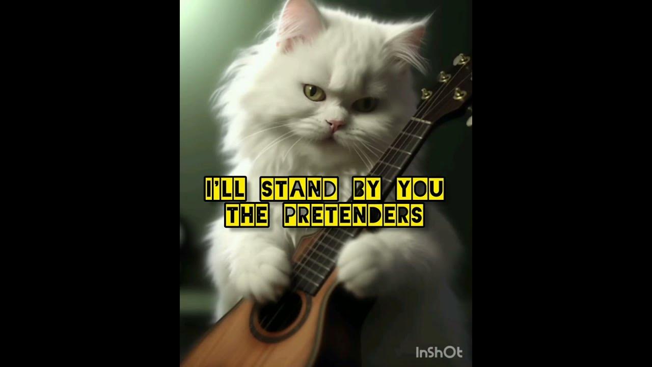 I'll Stand By You (Lyrics) - The Pretenders - YouTube