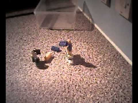 Lego stomp - YouTube