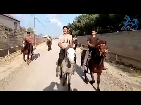 MasAllah Allah mehriban elesin butun Atbazlari👍👍👍. (Mashtaga) Gonderdi MirYaqub