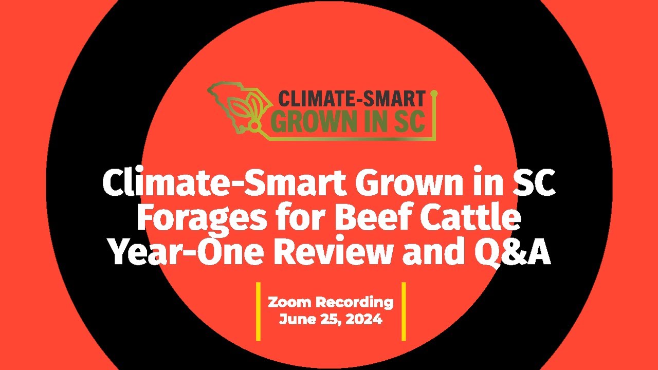2024 Climate-Smart Grown in SC Forages for Beef Cattle Year One Review ...